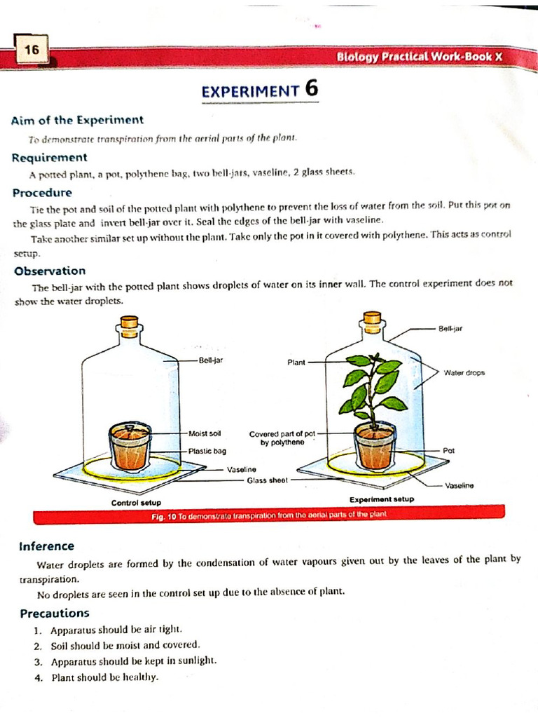 Maths Lab Manual Assignment P2 | PDF