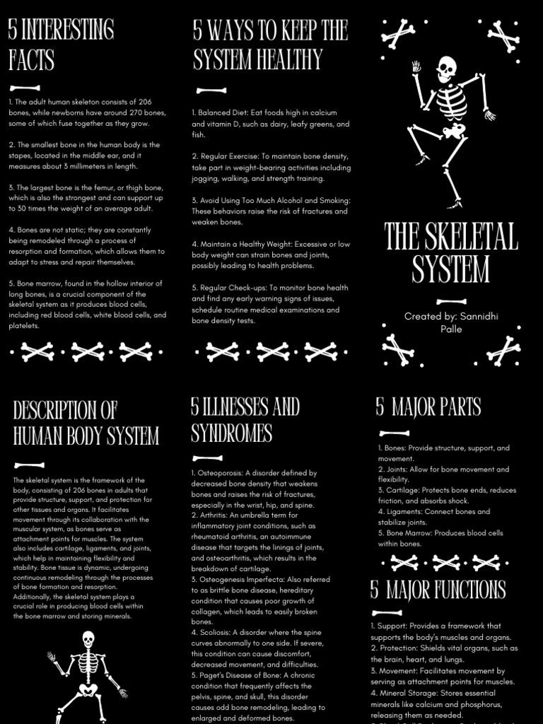 Mineral Storage in the Skeletal System | PDF | Bone | Skeleton