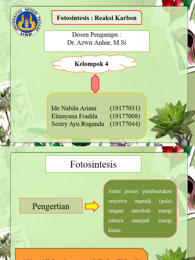 Fistum (Kelompok 4) | PDF | Sains & Matematika