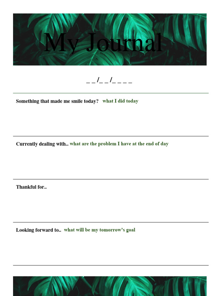Daily Reflection and Tomorrow's Goals | PDF