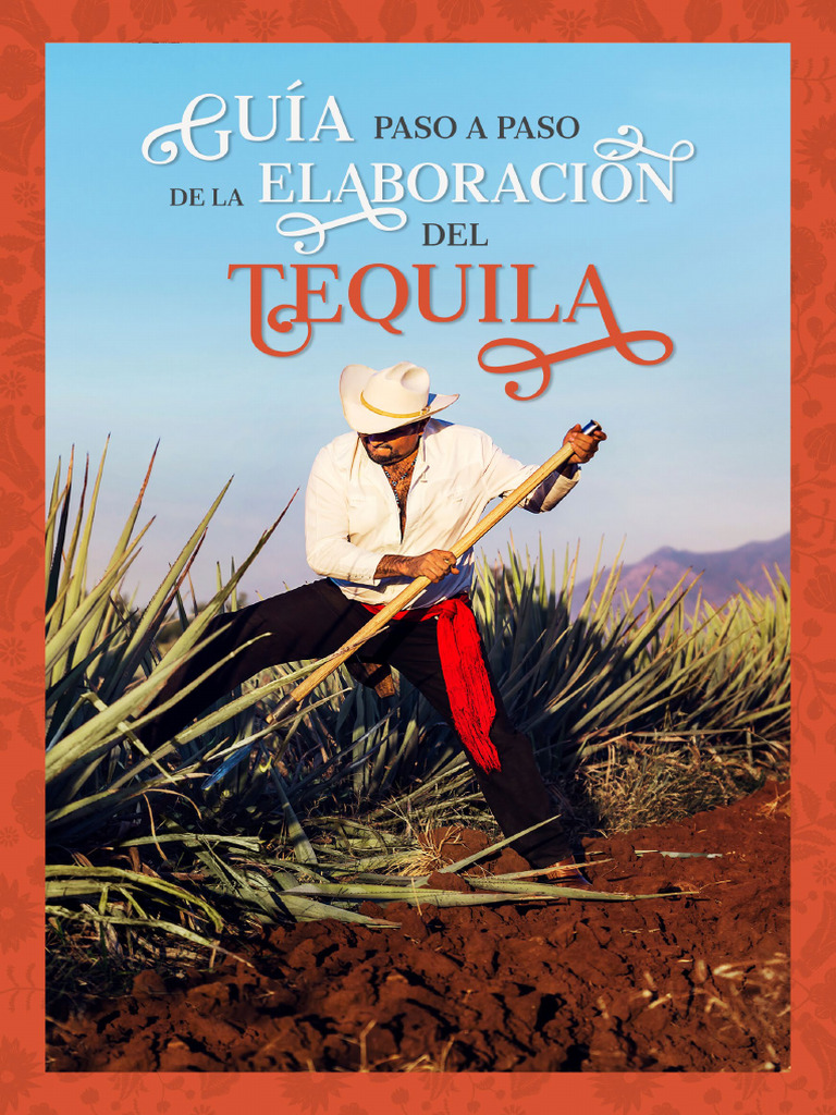 Guia Paso A Paso Del Tequila | PDF | Fermentación | Destilación
