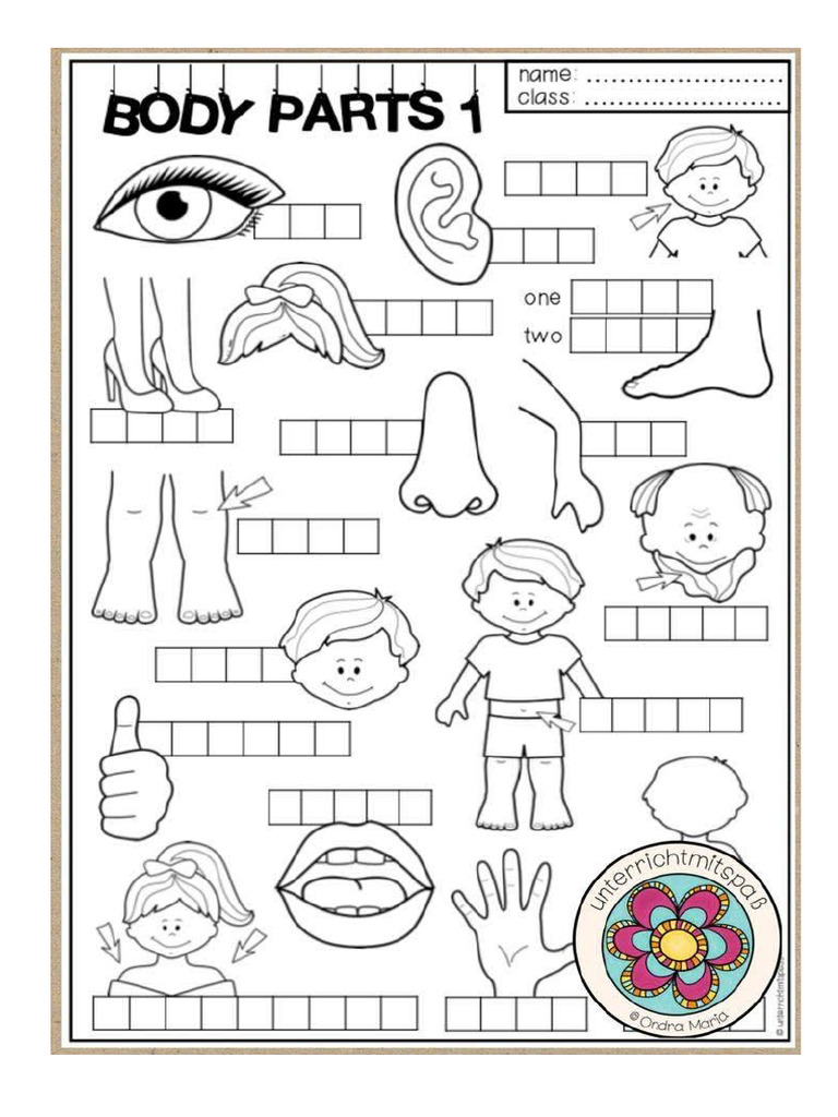 Practice Body Parts 2 | PDF