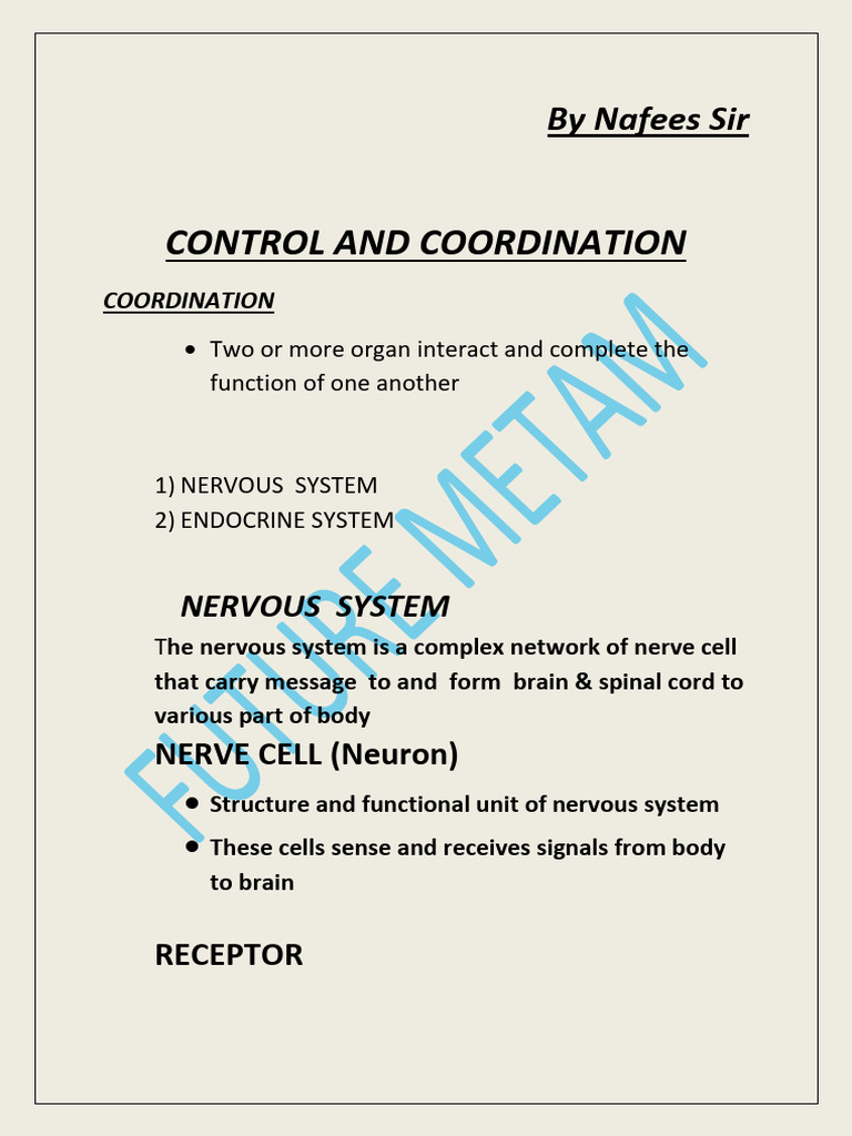 control and coordination class 10 | PDF | Central Nervous System ...
