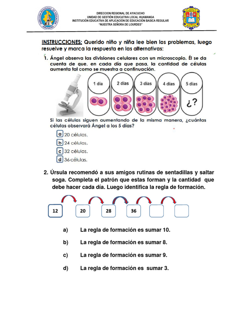 PRUEBA DE MATEMÁTICA 3er GRADO PRIMARIA | PDF