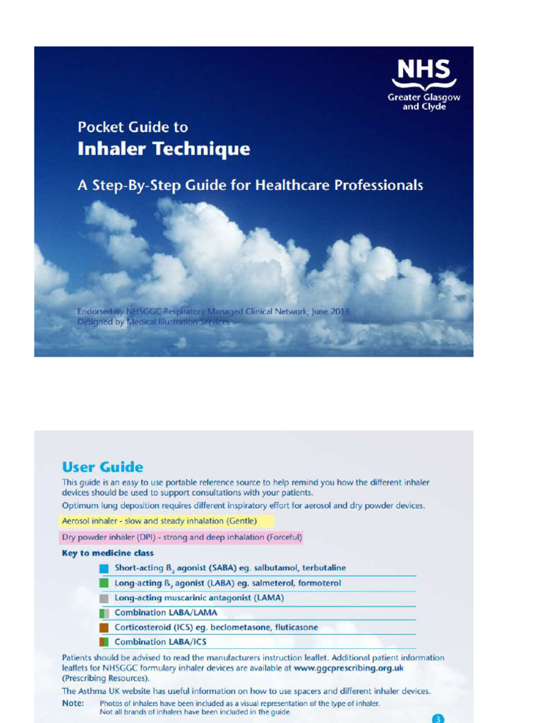 How To Use Inhaler 5 | PDF