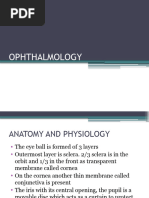 Common Ophthalmic Terminology Glossary | PDF | Eye | Human Eye