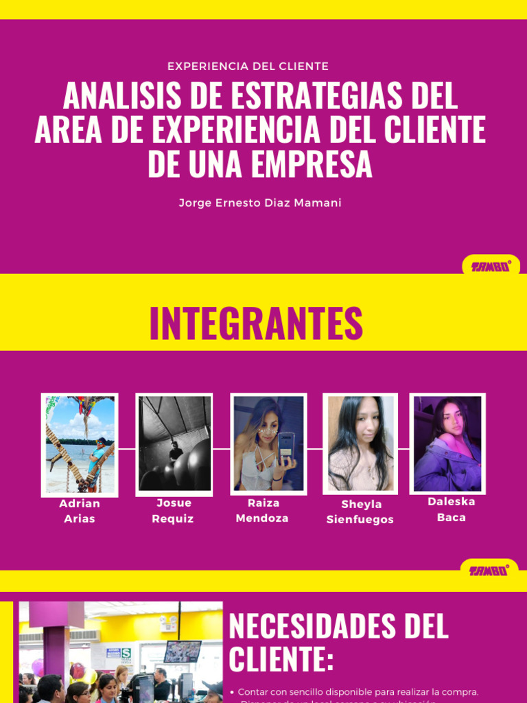 Experiencia Al Cliente E2 | PDF | Business | Cliente
