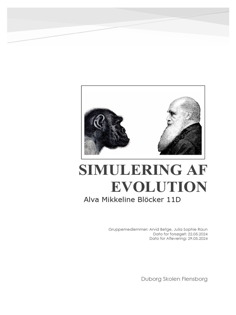 Microsoft Word - Simulering Af Evolution - Alva Mikkeline | PDF