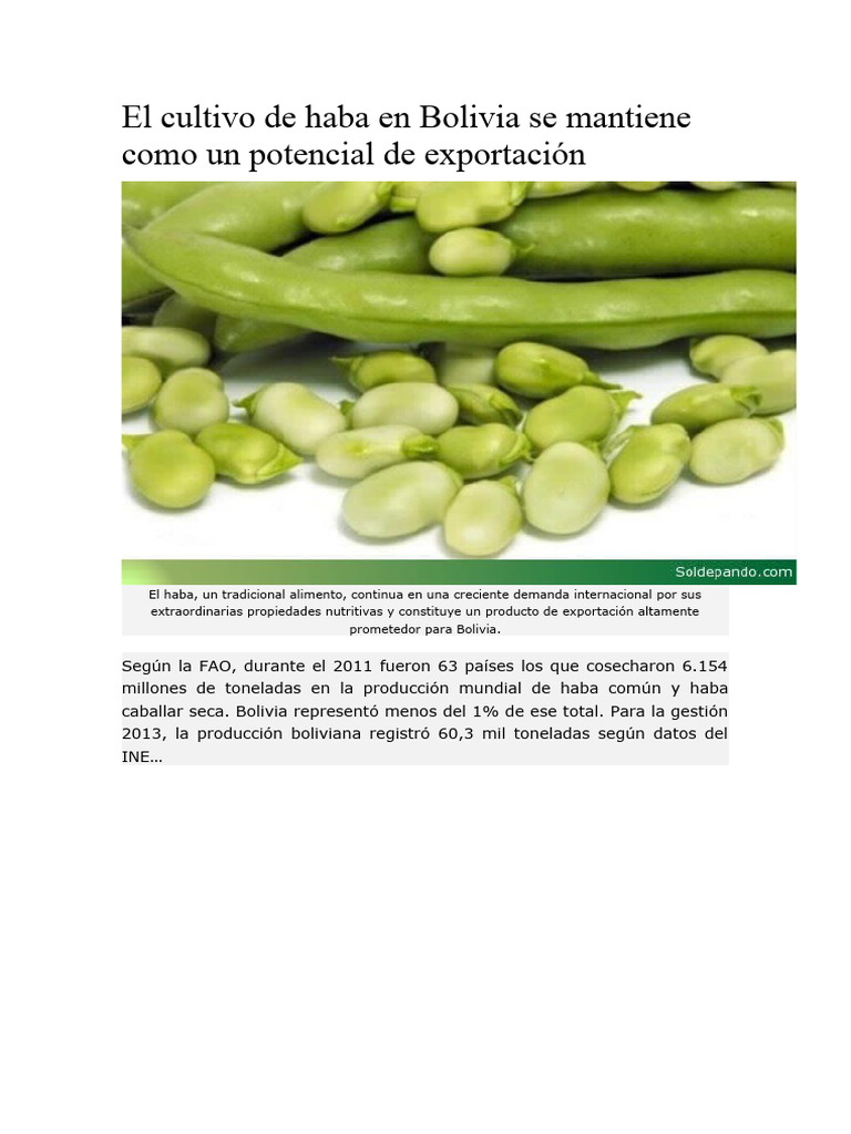 El Cultivo de Haba en Bolivia Se Mantiene Como Un Potencial de Exportación | PDF | Bolivia ...