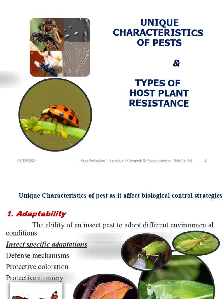 Unique Characteristics of Pests | PDF | Pest Control | Insects