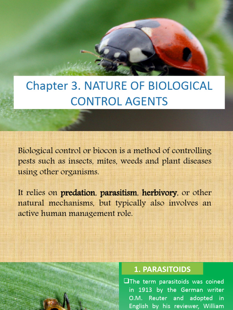 Nature of Biological Control Agents | PDF | Insects | Coccinellidae