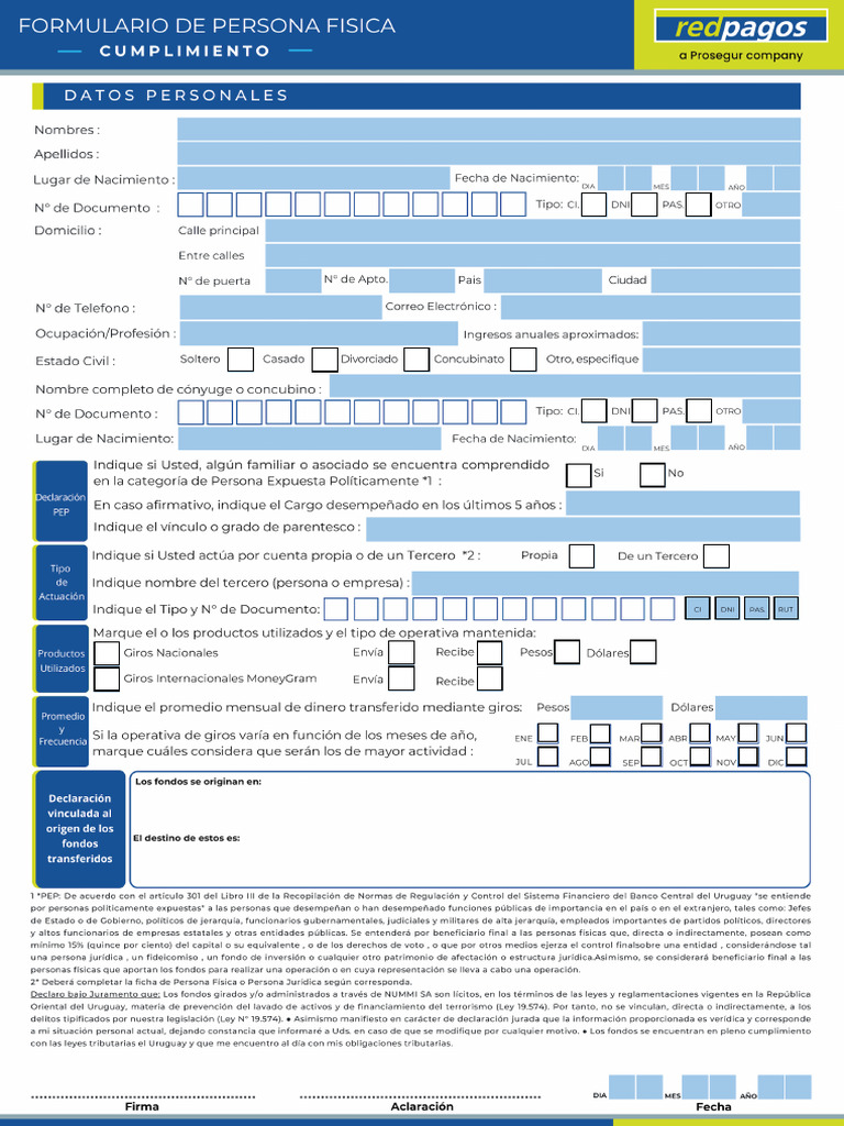 Formulario de Persona Fisica | PDF