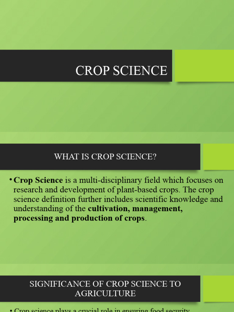 Crop Science | PDF | Flowers | Leaf