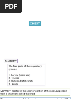 Chest X-Ray Template | PDF | Lung | Thorax