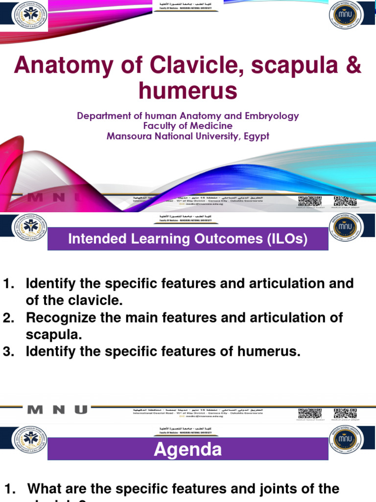 Practical 1 Clavicle Scapul Humerus | PDF | Anatomy | Joints