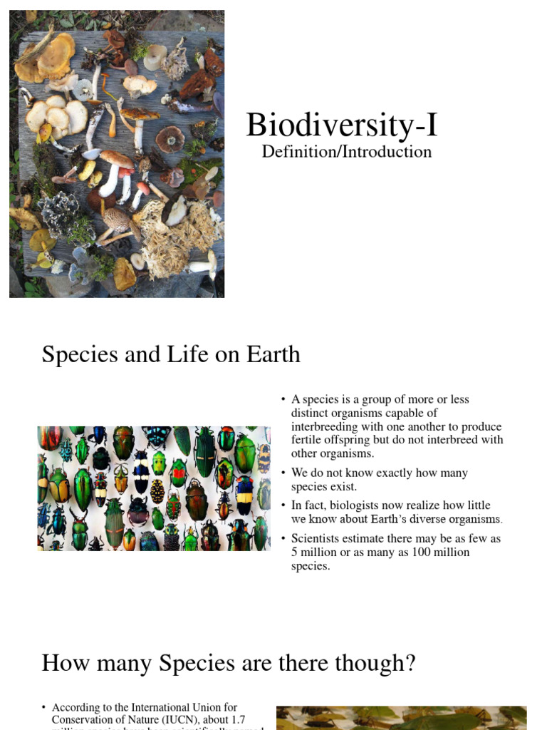 Understanding Global Biodiversity | PDF | Biodiversity | Conservation ...