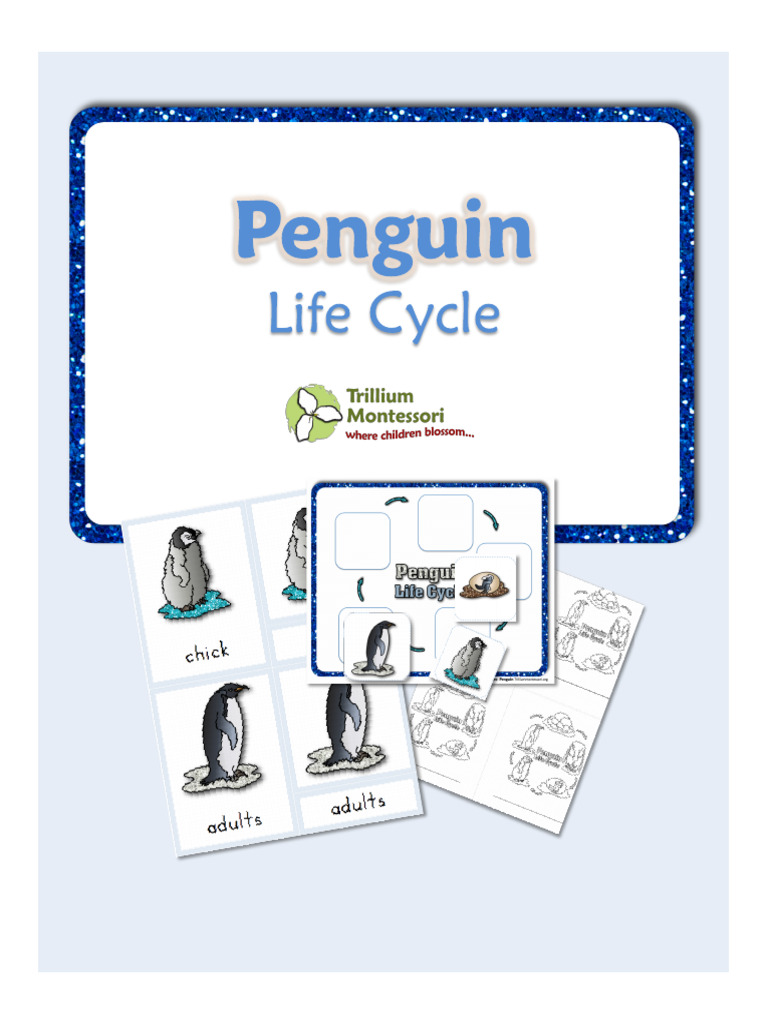 Life Cycles - Penguin by Trillium Montessori | Download Free PDF ...