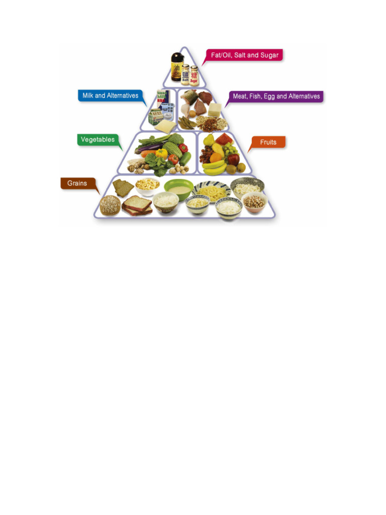 Food Pyramid Pictures | PDF