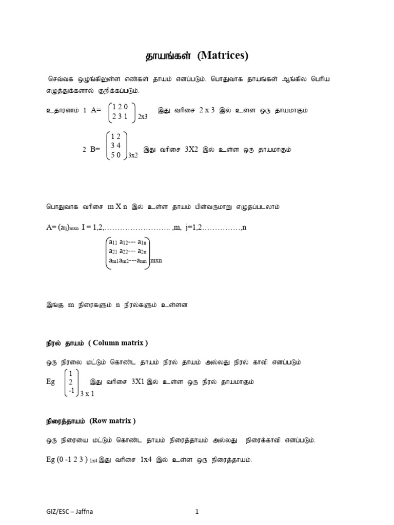 6 Matrices | PDF | Mathematical Physics | Mathematical Objects