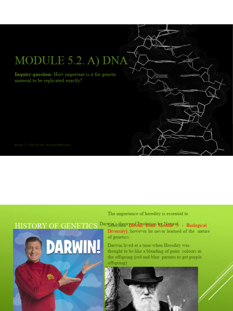 PDF Module 5.2. A) DNA | PDF | Dna Replication | Dna