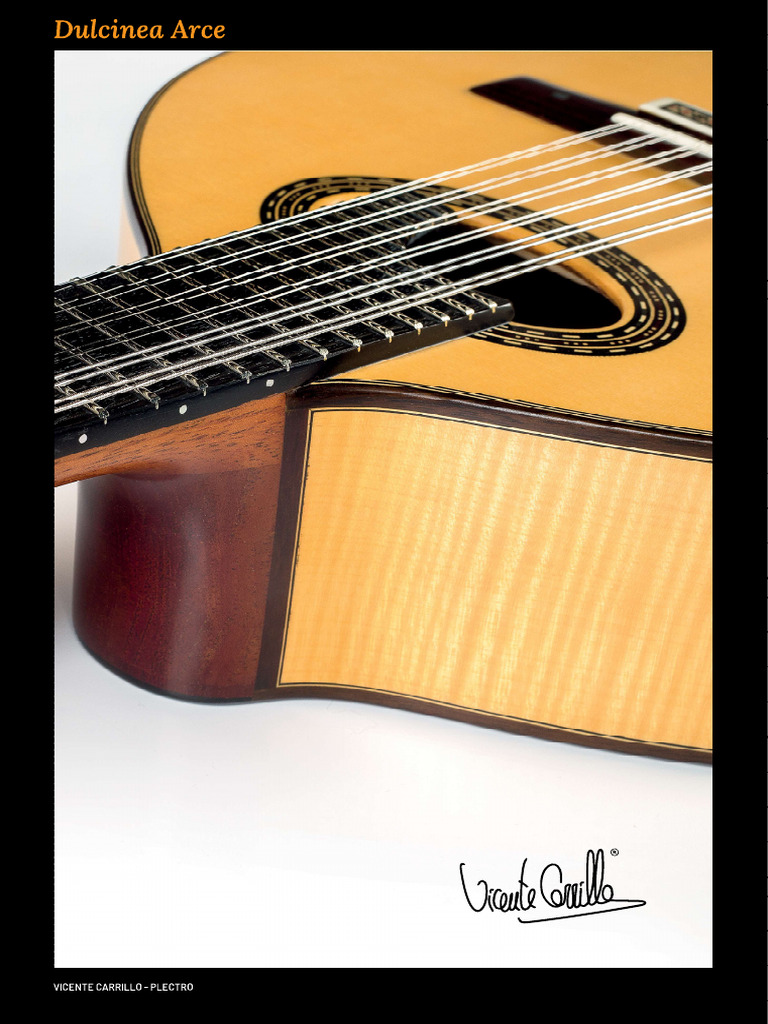 Plectro Dulcinea Arce | PDF