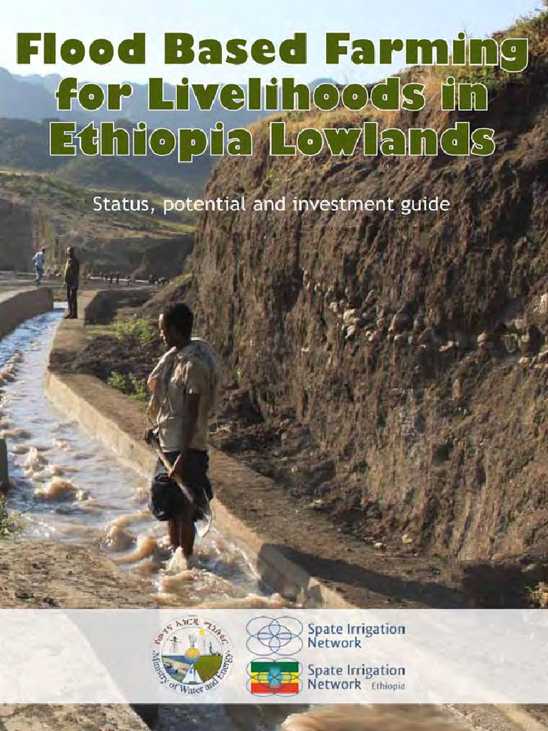 Livelihoods Eth Lowlands Final SF | PDF | Pastoralism | Agriculture