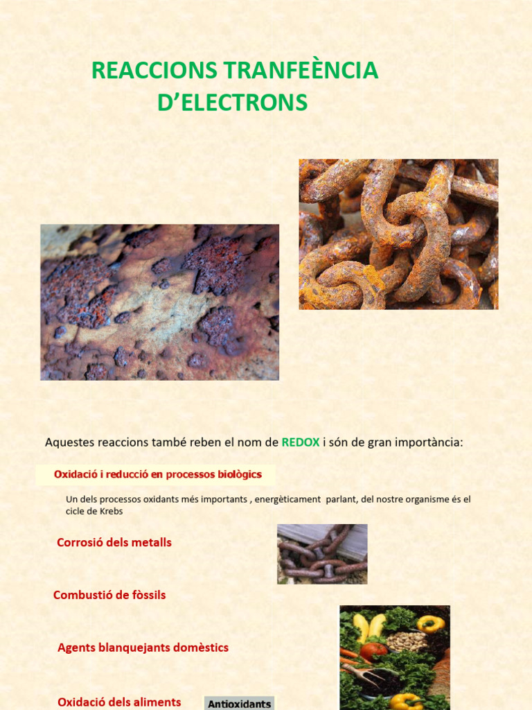 Presentacio Redox | PDF