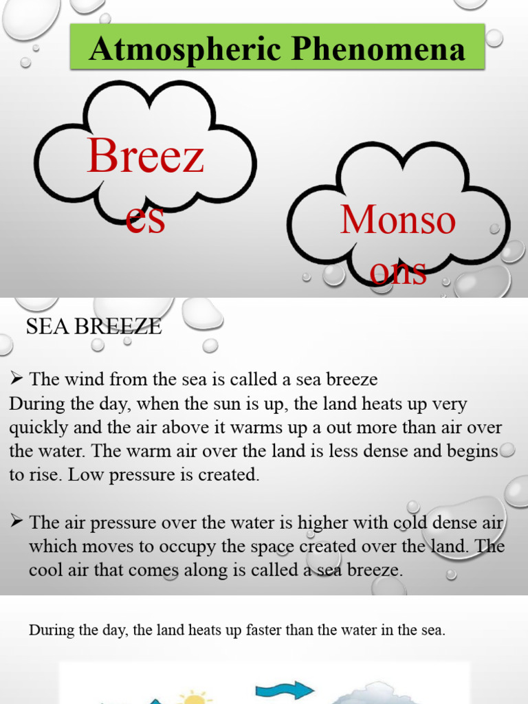 Add Your Main Etail. | PDF | Monsoon | Wound