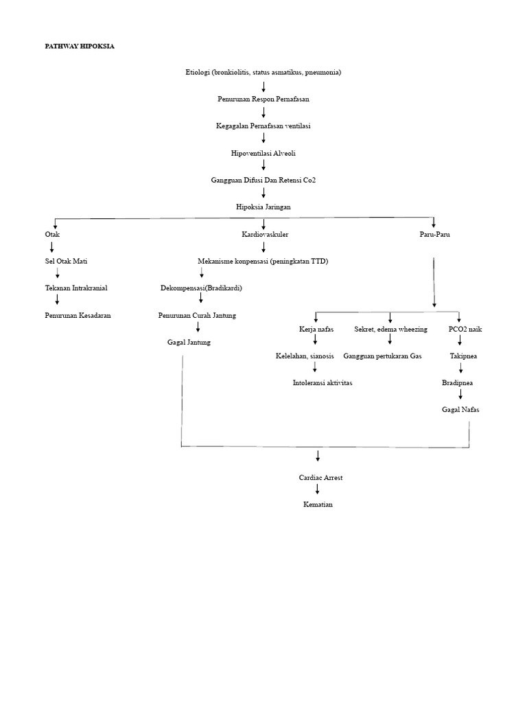 Pathway Hipoksia dan Dampaknya | PDF