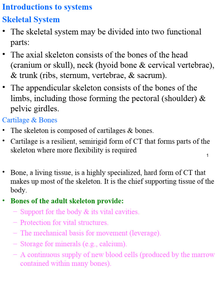 2 Intruduction To Systems Pdf Vein Lymphatic System