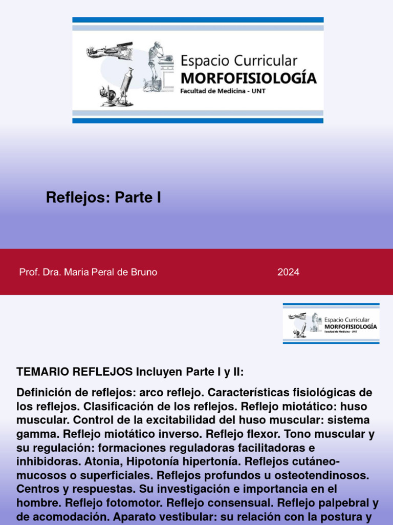 TP 3 - Reflejos | PDF | Anatomía | Neurofisiología