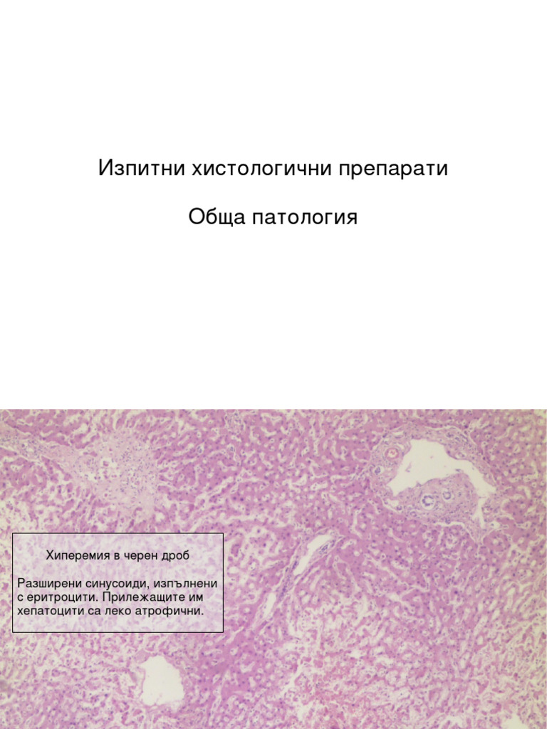 Микроскопска 210624 112109 | PDF