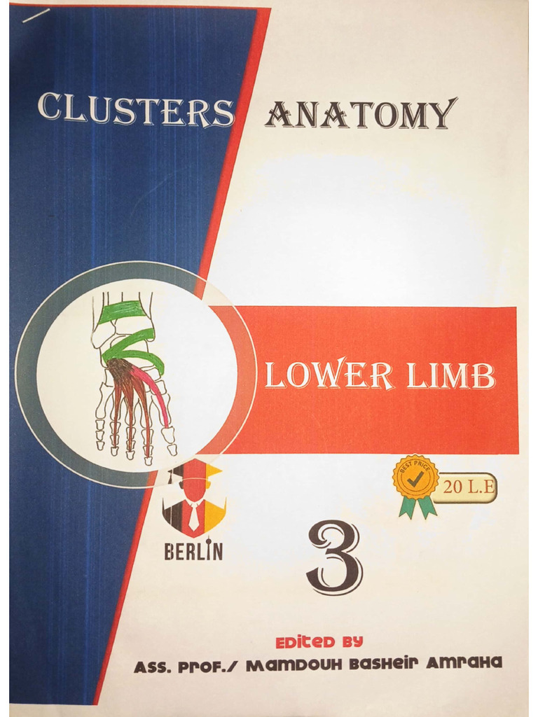 DR Cluster MSS Anatomy Lower Limp 3 | PDF