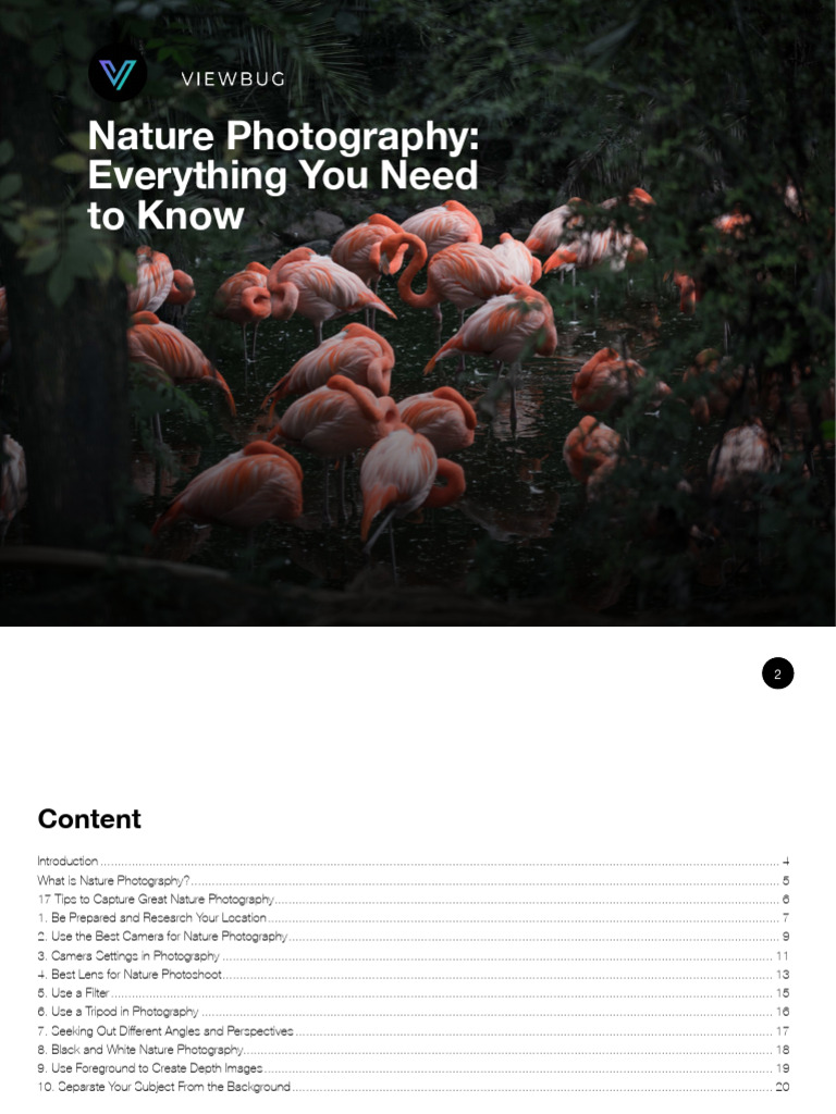 Nature Photography Guide | PDF | Camera Lens | Composition (Visual Arts)
