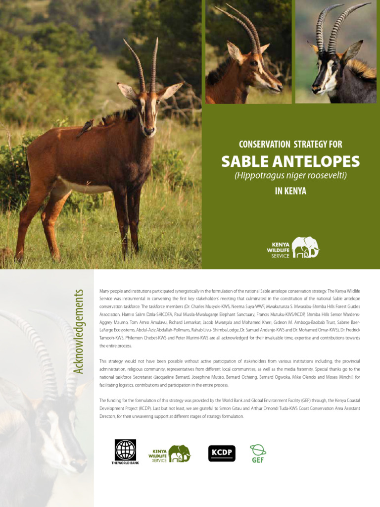 Sable Antelope Conservation Strategy Kenya | PDF | Conservation Biology ...