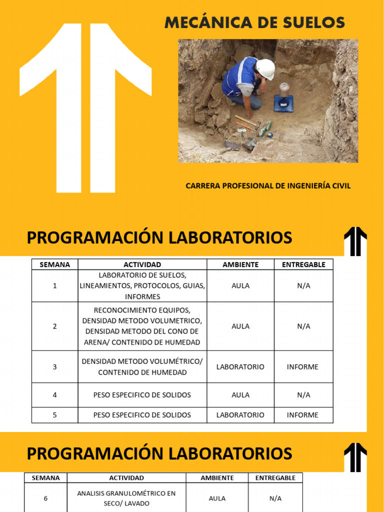JP - Programación de Laboratorios | PDF | Ciencia y matemáticas