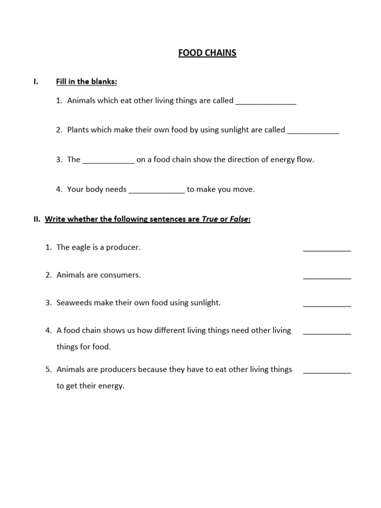 Grade 3 Food Chain Worksheet | PDF