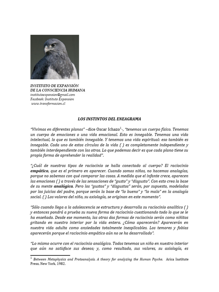 Los Instintos Del Eneagrama | PDF | Razón | Percepción