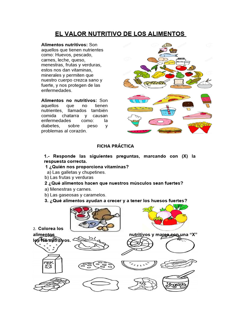 Ficha Alimentos Nutritivos y No Nutritivos | PDF | Estilo de vida