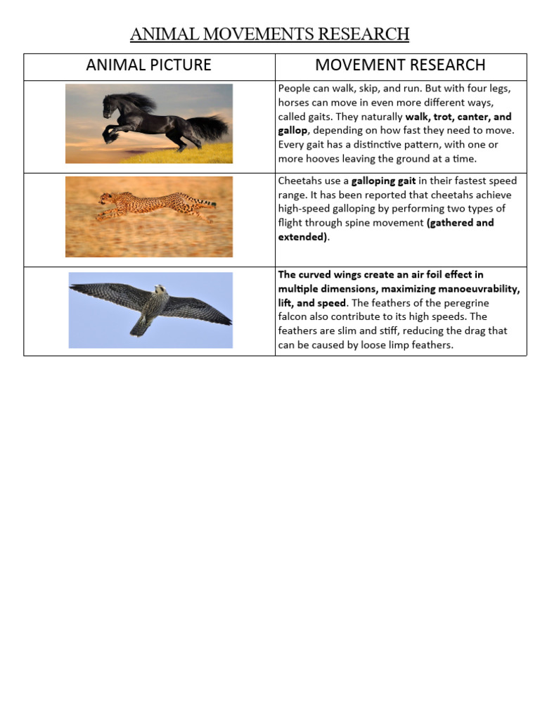 Animal Movements Research | PDF