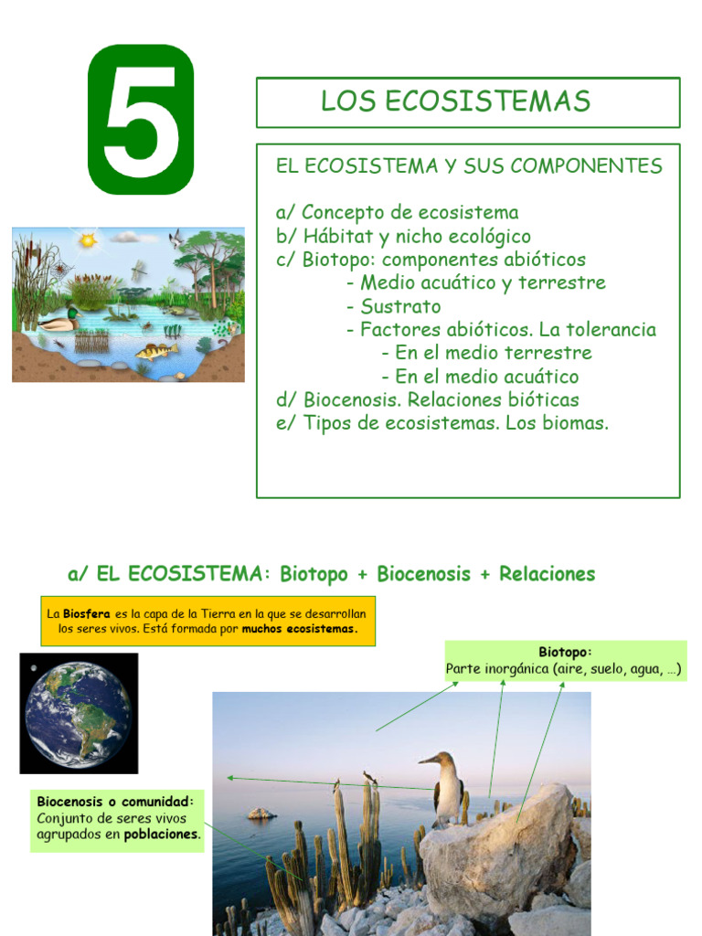 5.-ecosistemas-descripcion-2 | Descargar gratis PDF | Ecosistema | Habitat