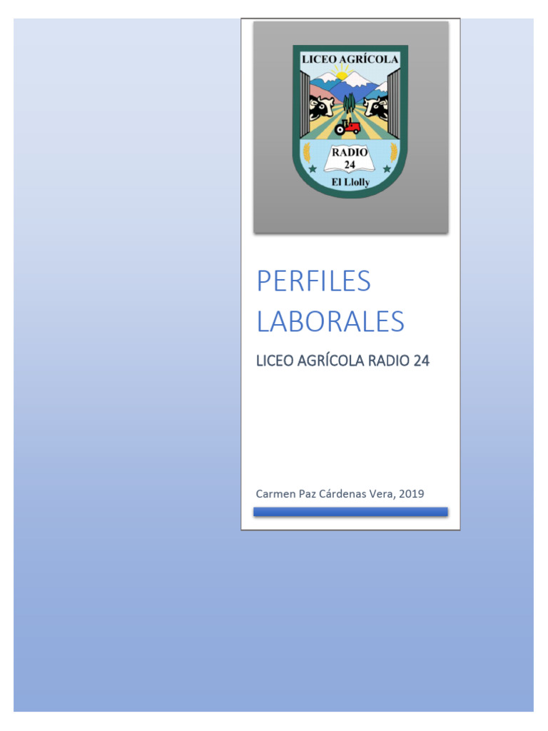 Perfiles Laborales Lar 24 J 2020 | PDF | Plan de estudios | Enseñando