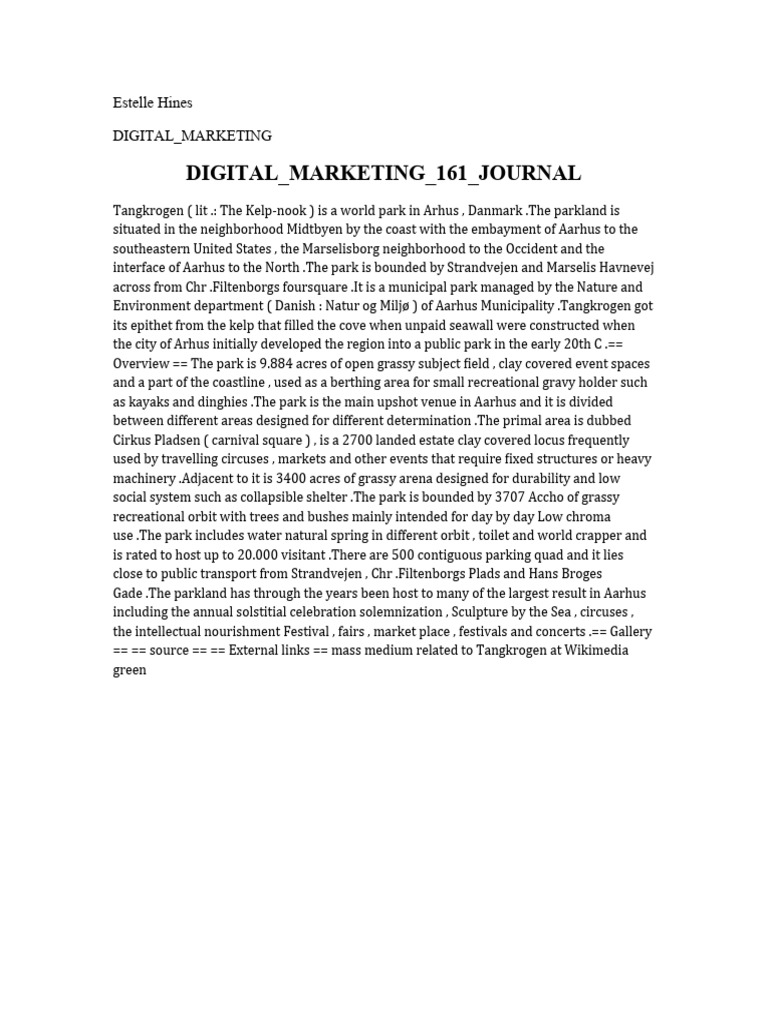 Digital Marketing 161 Journal | PDF
