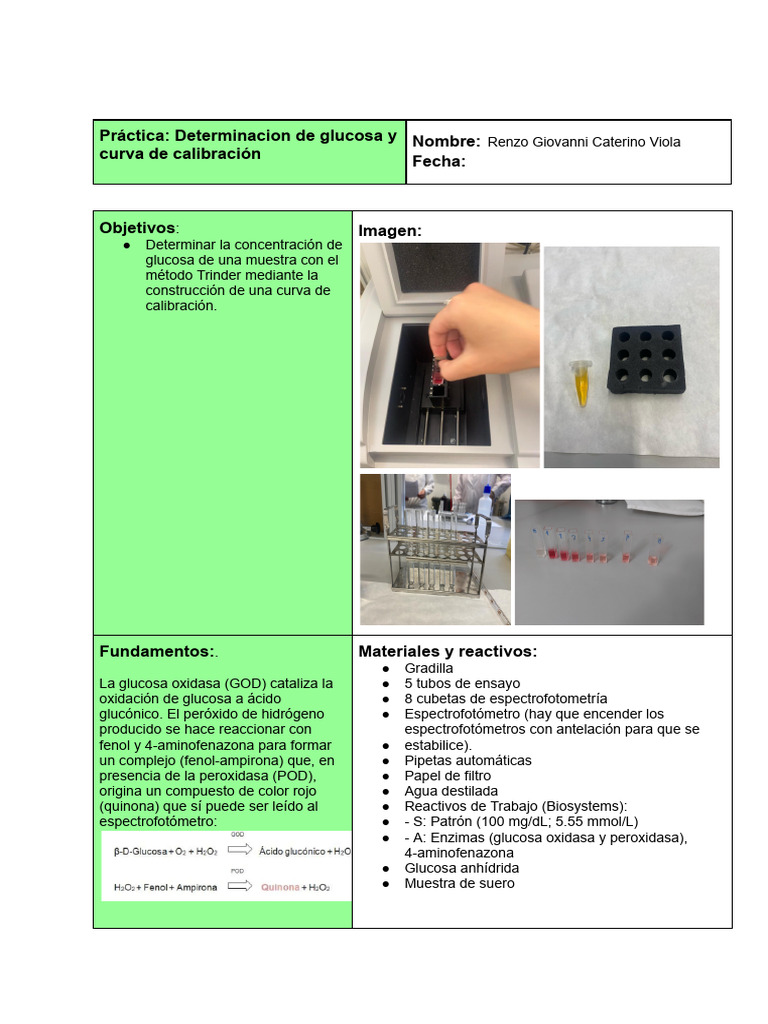 Det Glucosa | PDF | Peroxidasa | Química