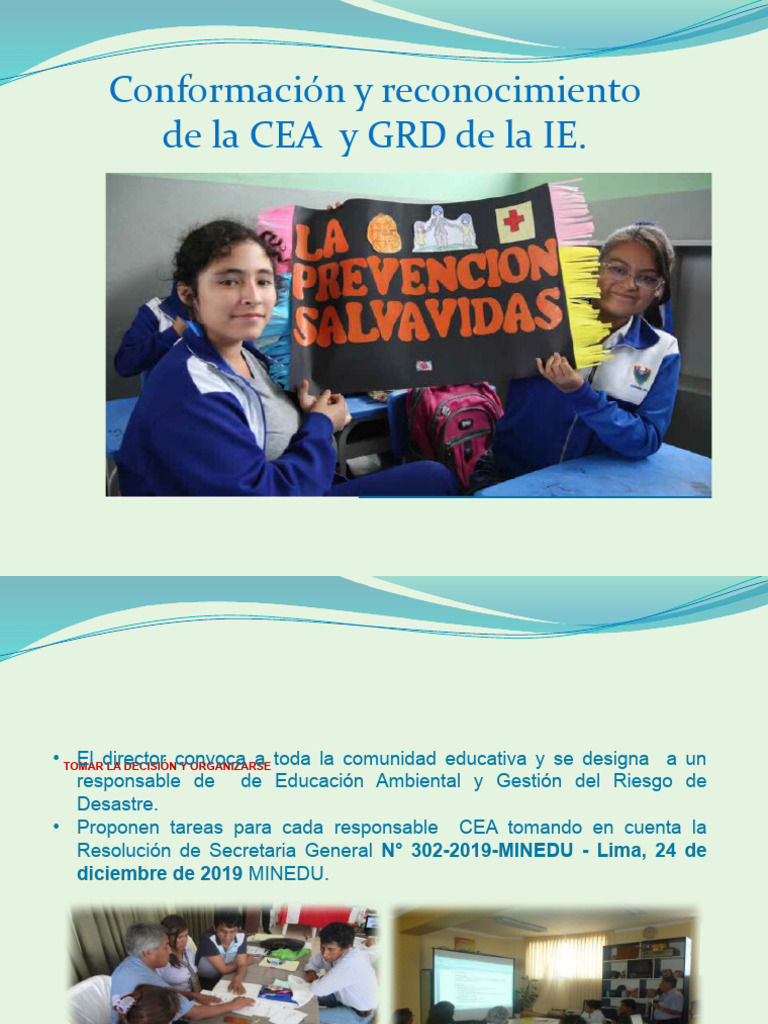 3 - Conformacion de La Cea y GRD | PDF