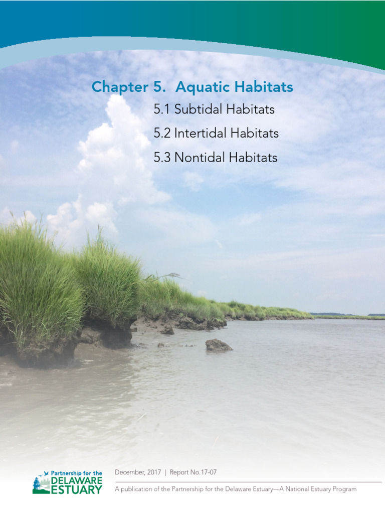 Delaware Estuary Benthic Inventory Report | PDF | Estuary | Benthic Zone