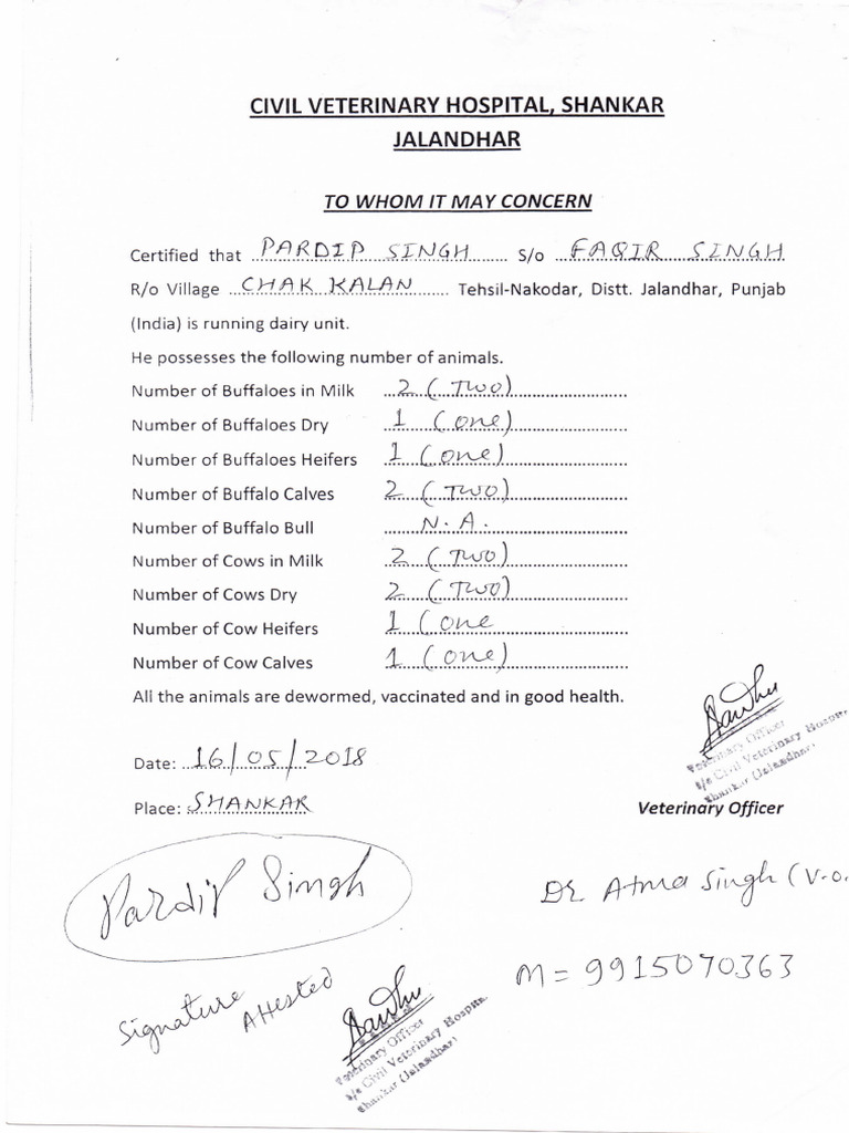 Milk Dairy Paper | PDF