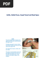 Triangular Space - Borders - Contents - TeachMeAnatomy | PDF