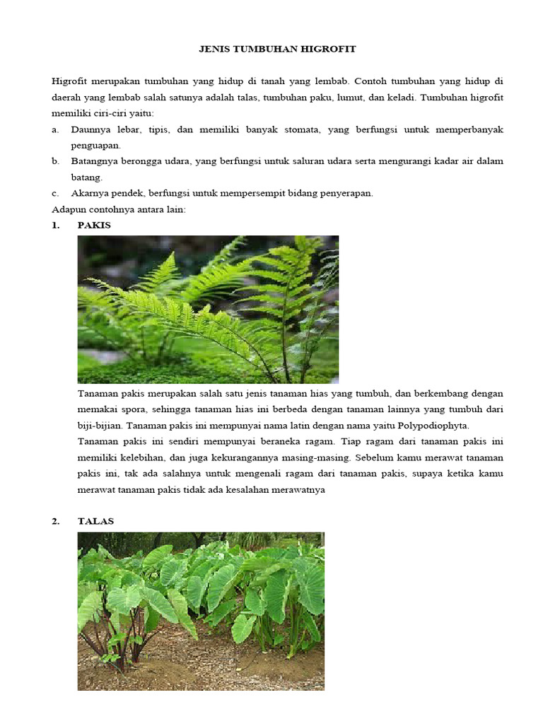 Jenis dan Contoh Tumbuhan Higrofit | PDF | Griya & Taman