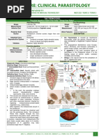 Trematode Flukes: Types and Characteristics | PDF | Zoology | Parasitology